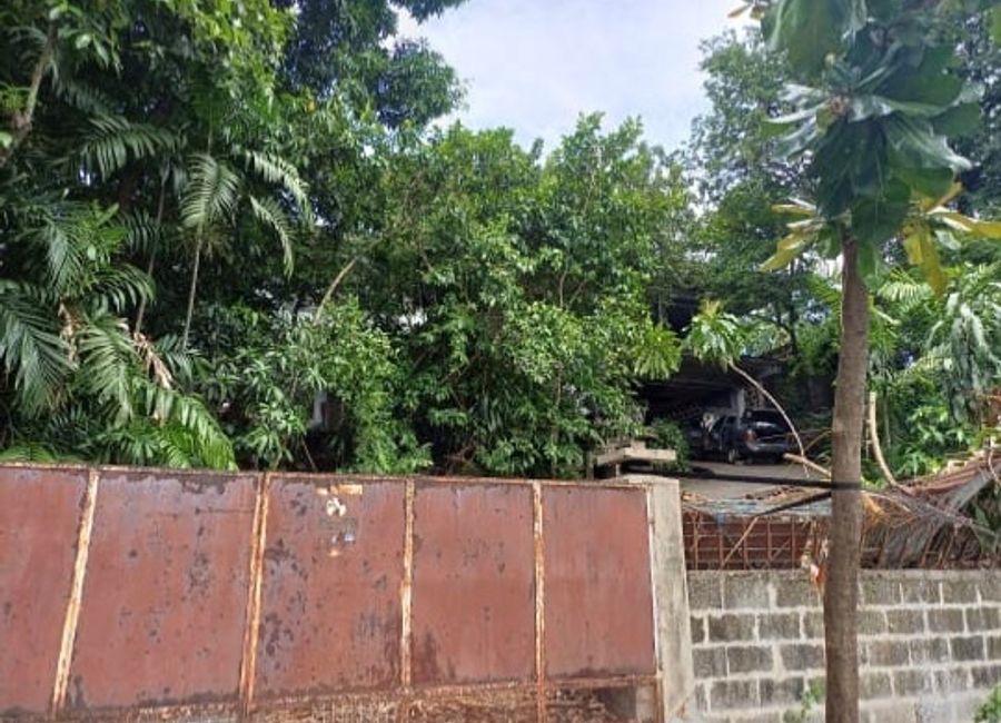 For Sale l 805 sqm Lot in Blue Ridge A at Bagumbayan Quezon City ...