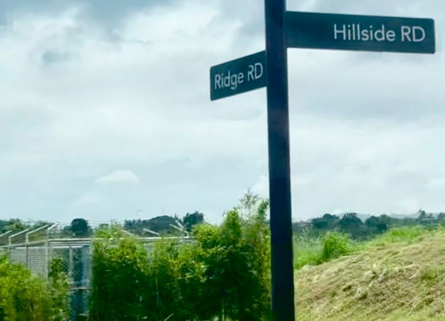 Hillside Ridge Phase 1 | 538 sqm Single-Loaded Lot | ₱12.9M (24k psm ...