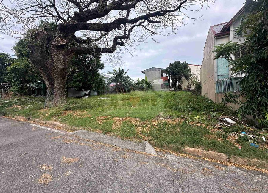 Barangay Don Bosco Better Living Subdivision Parañaque residential ...