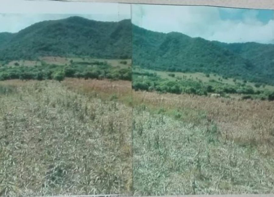 Dijual Tanah Lokasi Premium di Huu Dompu Sumbawa | Lamudi.co.id