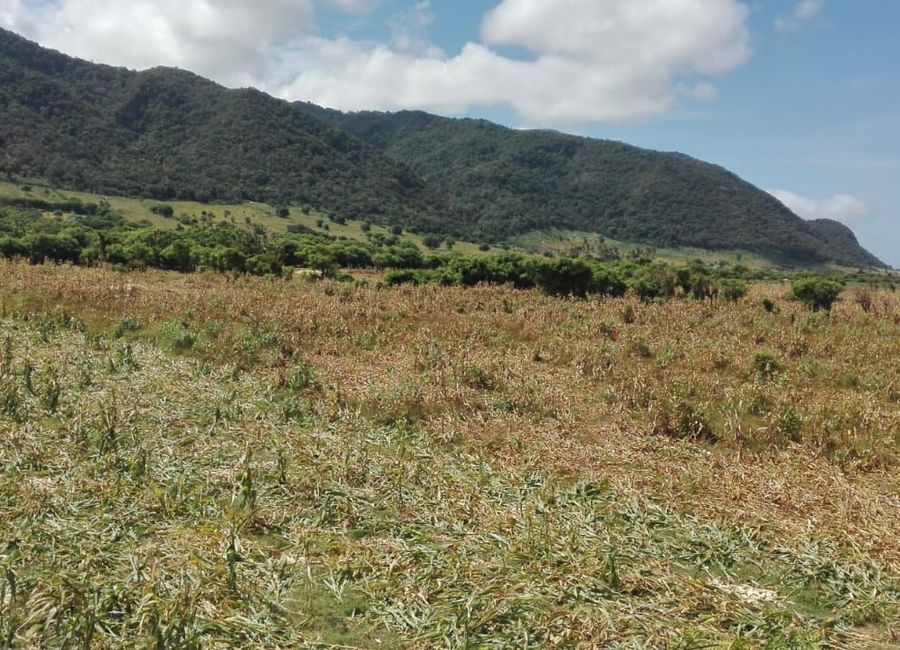 Dijual Tanah Lokasi Premium di Huu Dompu Sumbawa | Lamudi.co.id