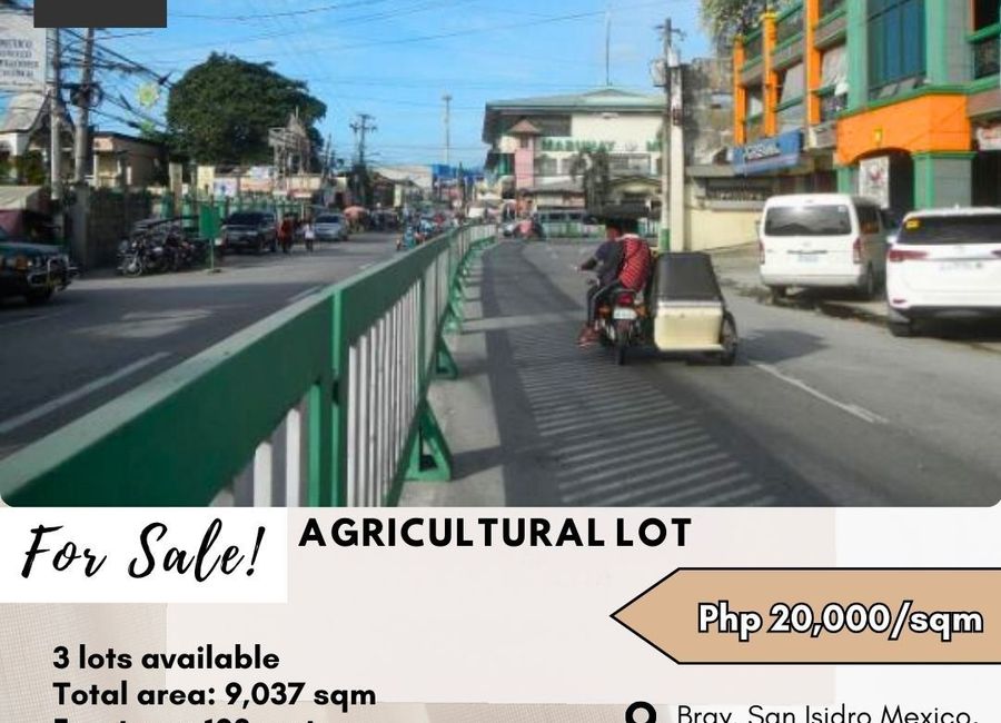 For Sale: Agricultural Lot located Along Quezon Road, Brgy. San Isidro ...