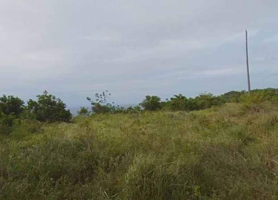 For Sale: Agricultural Lot located at San Juan Laiya Ibabao Batangas ...