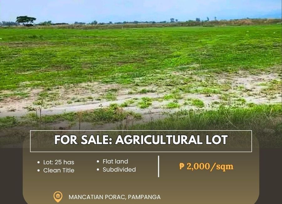 For Sale: Agricultural Lot located in Mancatian Porac, Pampanga ...
