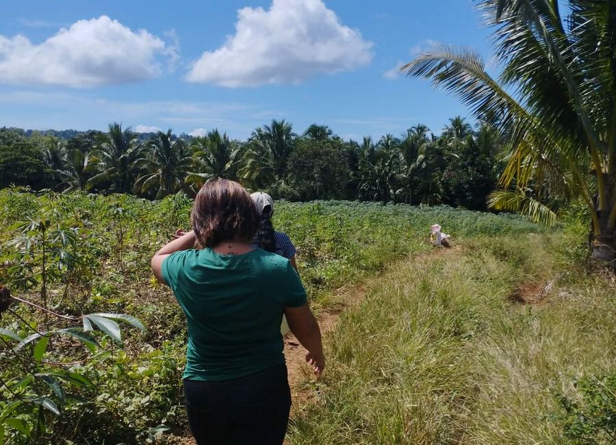 5-hectare farm lot for sale | Lamudi.com.ph