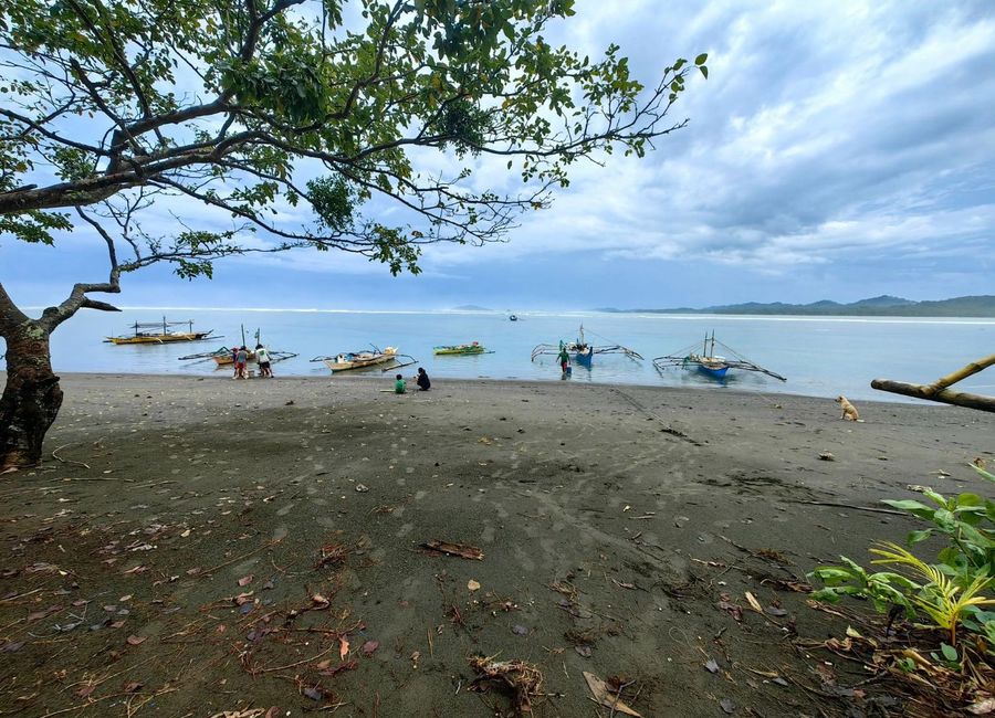 4.9Hectares Beach lot for sale in Quezon Palawan | Lamudi.com.ph