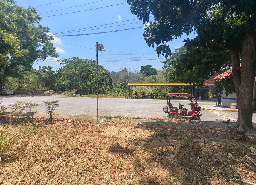 Fairway view Subdivision salawag Dasmarinas lot for sale beside Gaurd ...