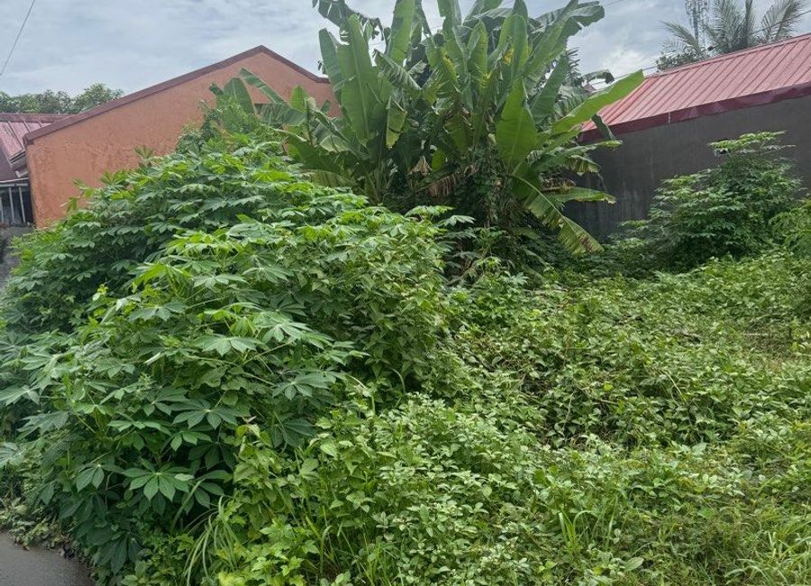 🏠 FOR SALE: 100sqm Residential Lot in Dolmar Golden Hills | Lamudi.com.ph