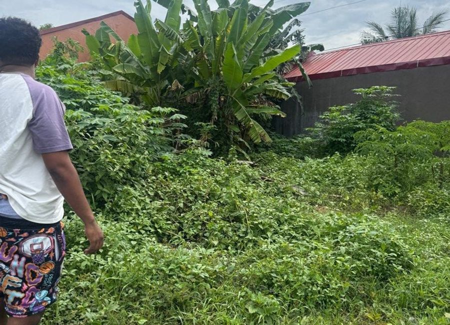 🏠 FOR SALE: 100sqm Residential Lot in Dolmar Golden Hills | Lamudi.com.ph