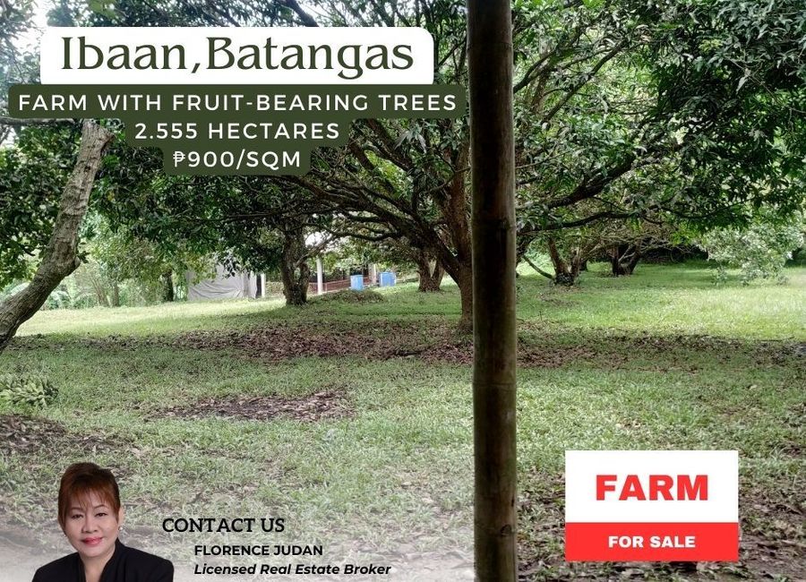 Beautiful Farm in Ibaan, Batangas with Lush Fruit-Bearing Trees ...