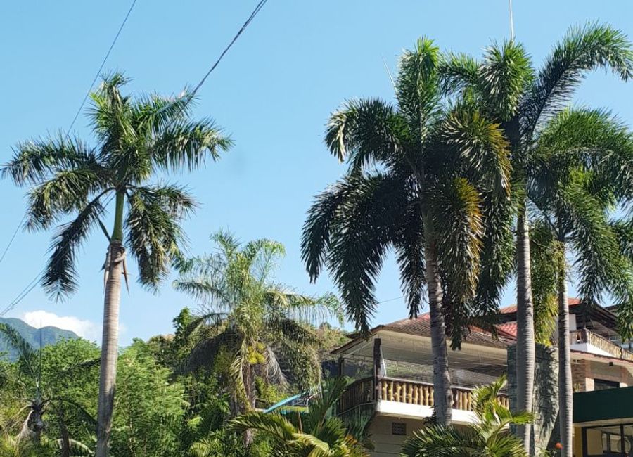 488 sqm Laguna Hills Bucal Calamba Laguna | Lamudi.com.ph