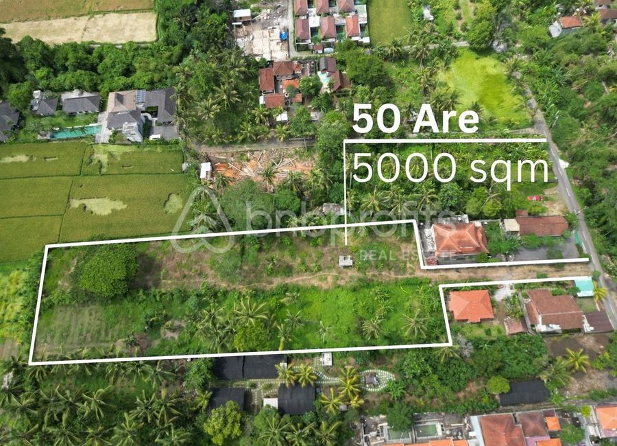 Exclusive Leasehold Land Offering in Ubud Perfect for Development ...