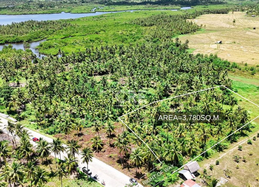 FOR SALE | Titled Properties at Siargao, General Luna | Lamudi.com.ph