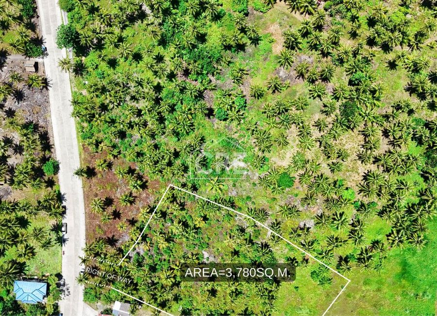 FOR SALE | Titled Properties at Siargao, General Luna | Lamudi.com.ph