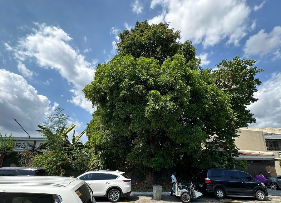 Xavierville Subdivision 2 Residential Lot For Sale Near Ateneo UP ...
