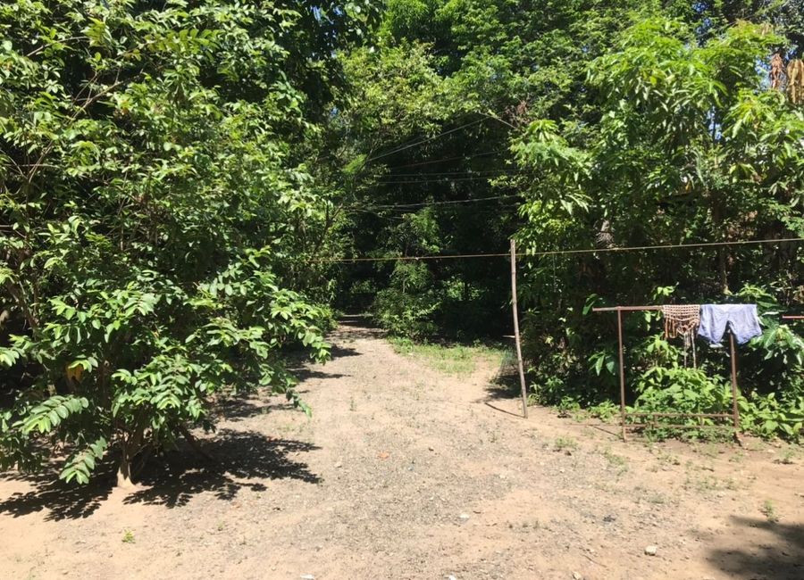 Farm Lot Farm Land in Bulacan | Lamudi.com.ph
