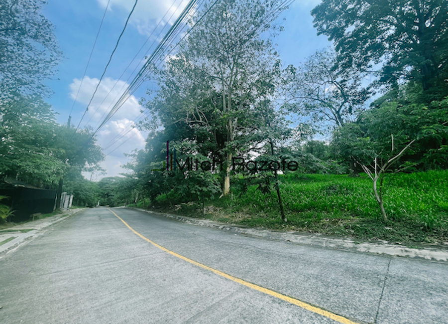 Best Available 541 sqm. Prime Lot For Sale in Parkridge Estate, Valley ...