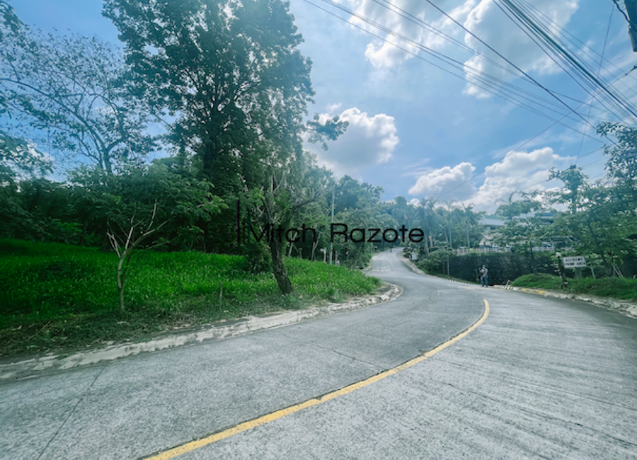 Best Available 541 sqm. Prime Lot For Sale in Parkridge Estate, Valley ...