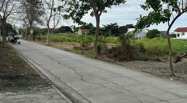 Villa Benita Subdivision in Hermogenes C. Concepcion Sr.| Lamudi.com.ph
