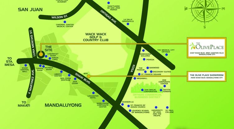 The Olive Place in Addition Hills| Lamudi.com.ph